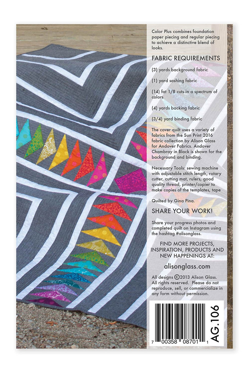 Alison Glass Color Plus Quilt – The Fold Line