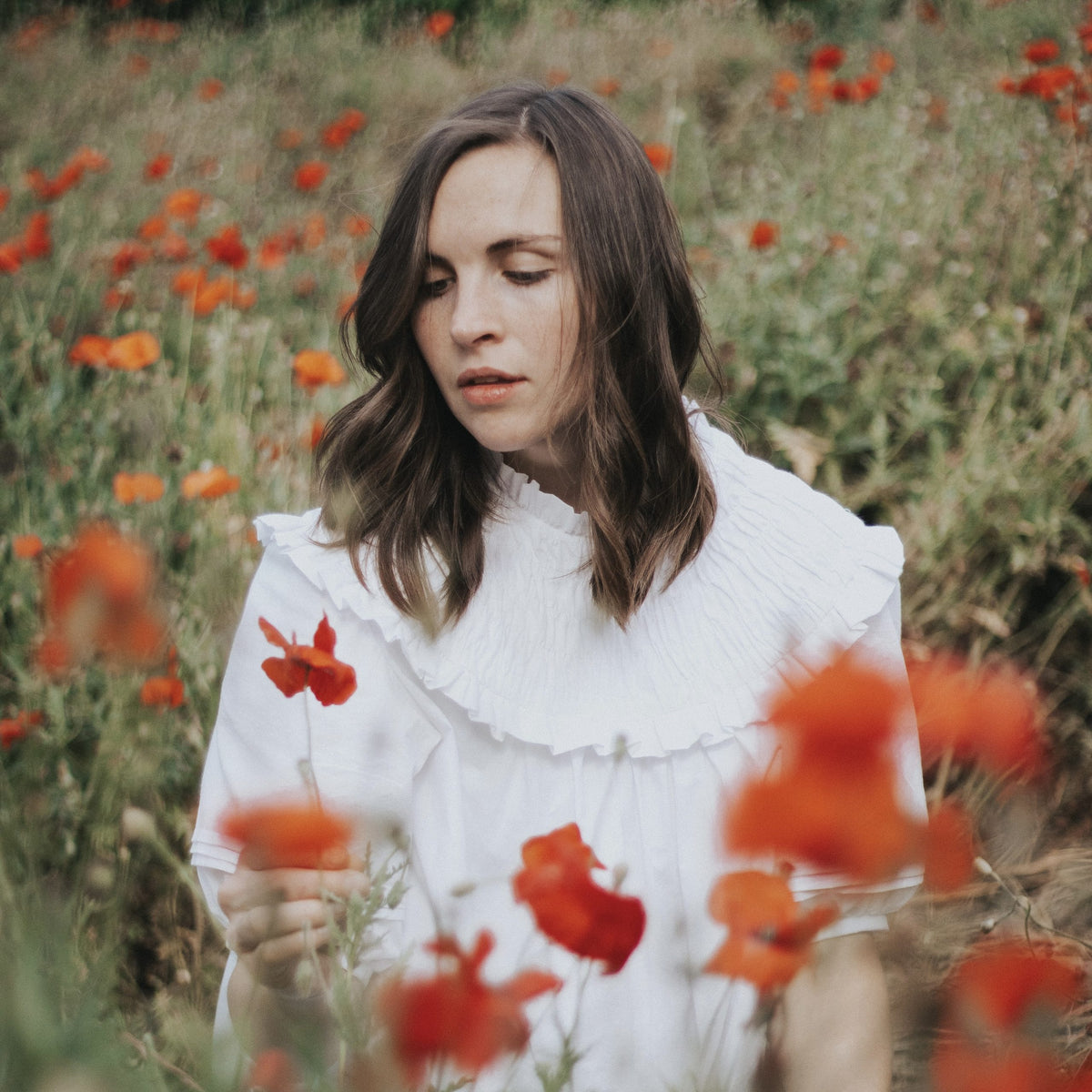 Madswick Raida Dress – The Fold Line