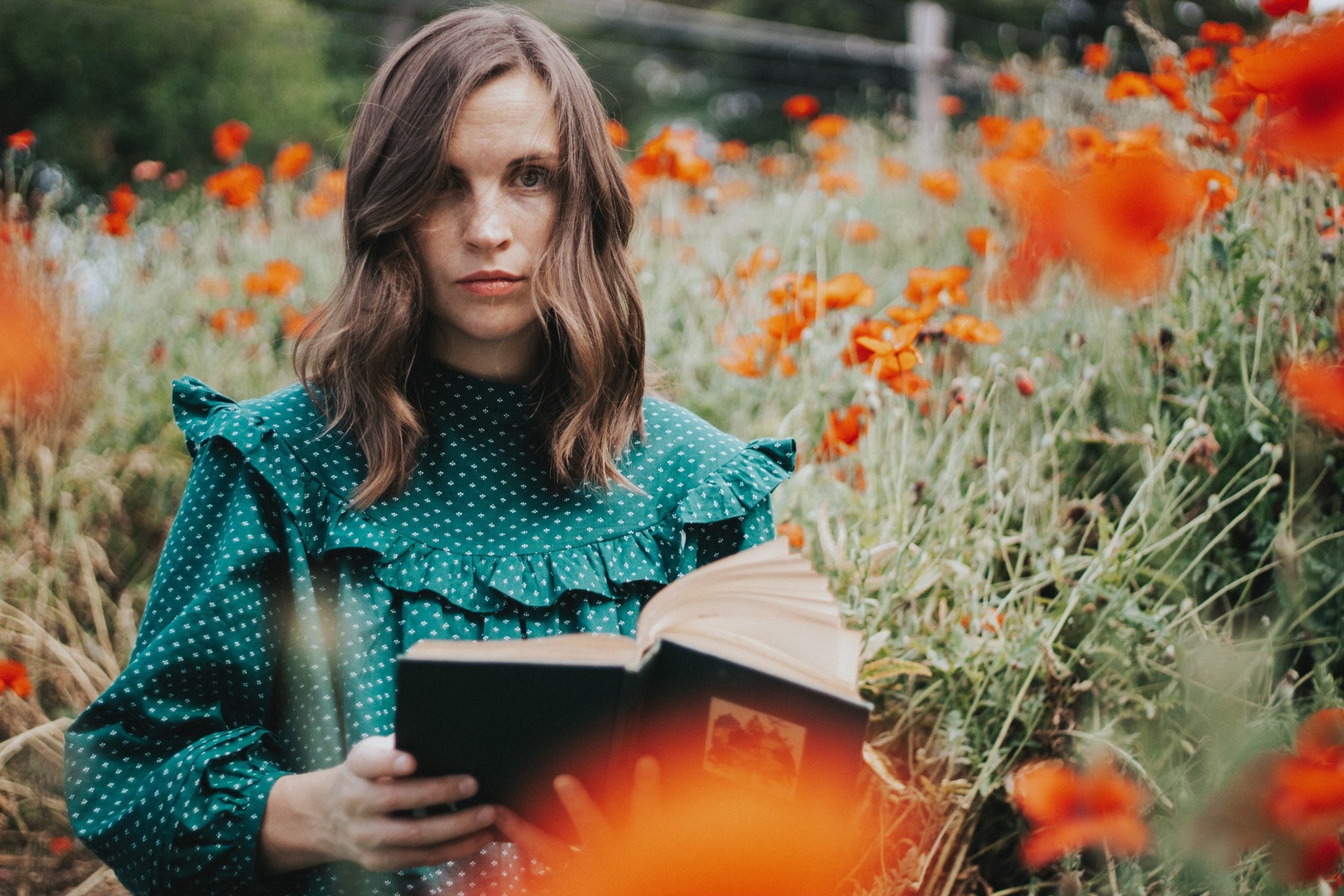 Madswick Raida Dress – The Fold Line