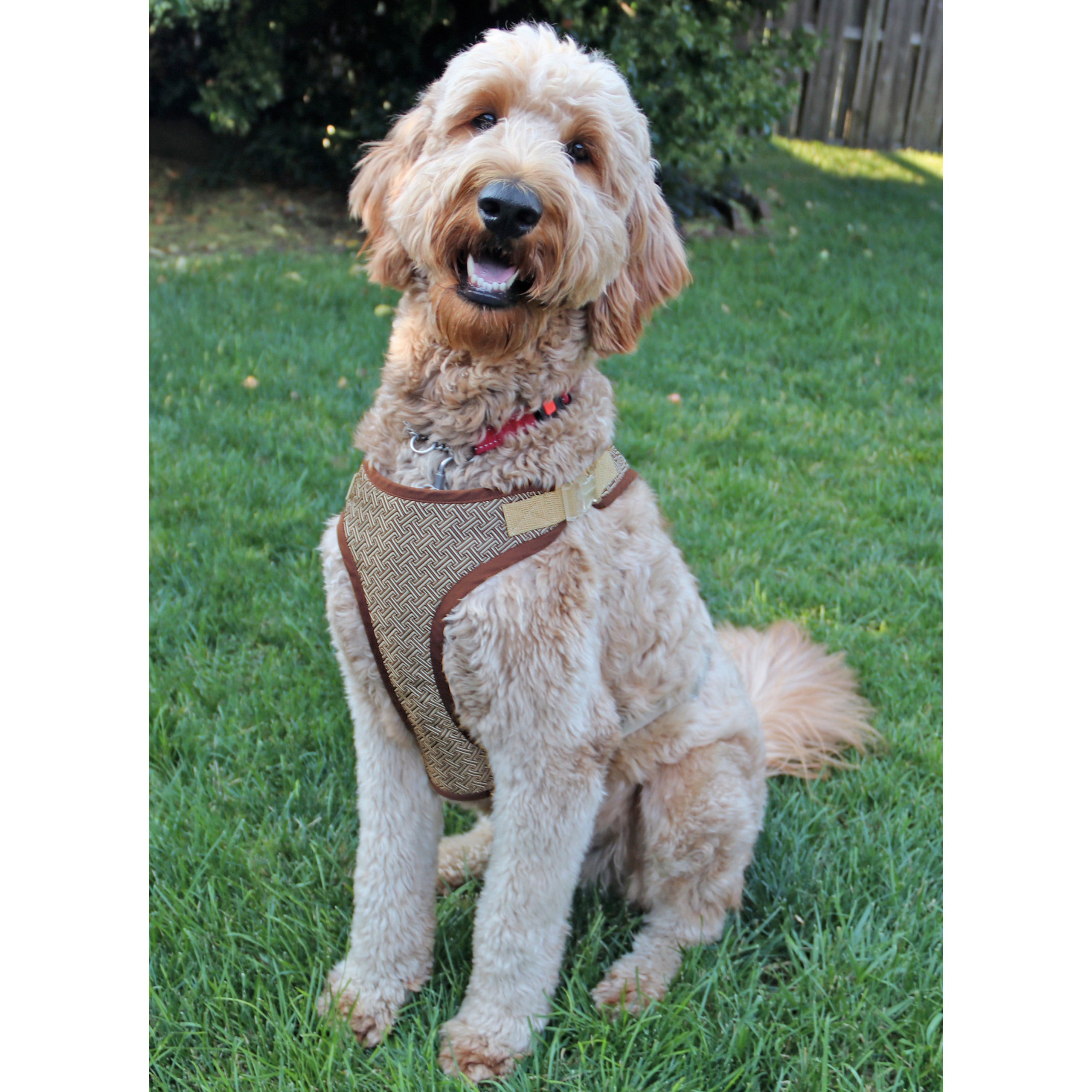 Simplicity Dog Harness & Lead S9664 – The Fold Line